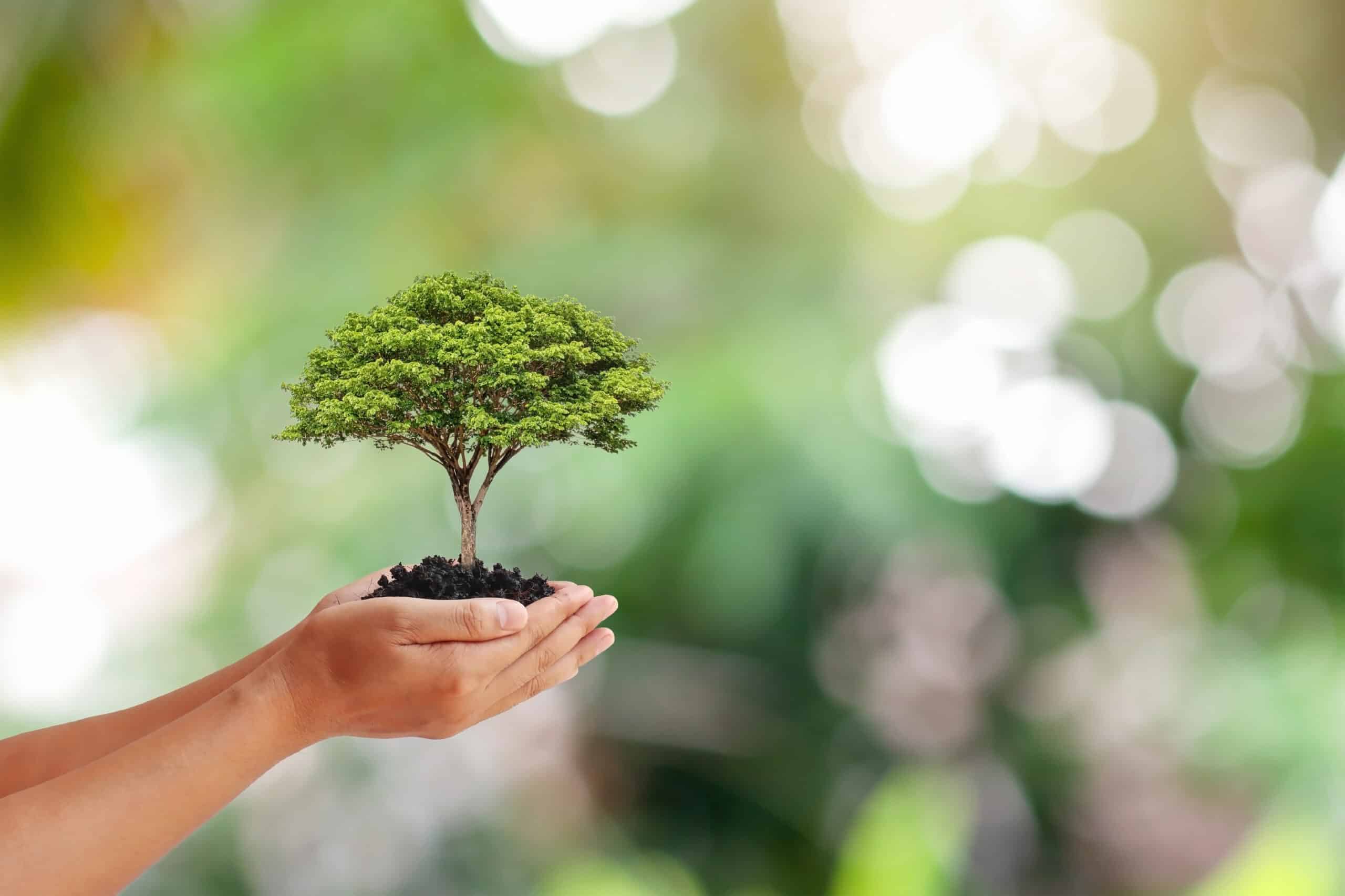 Princeton Digital Group Takes Definitive Steps on Digital ...